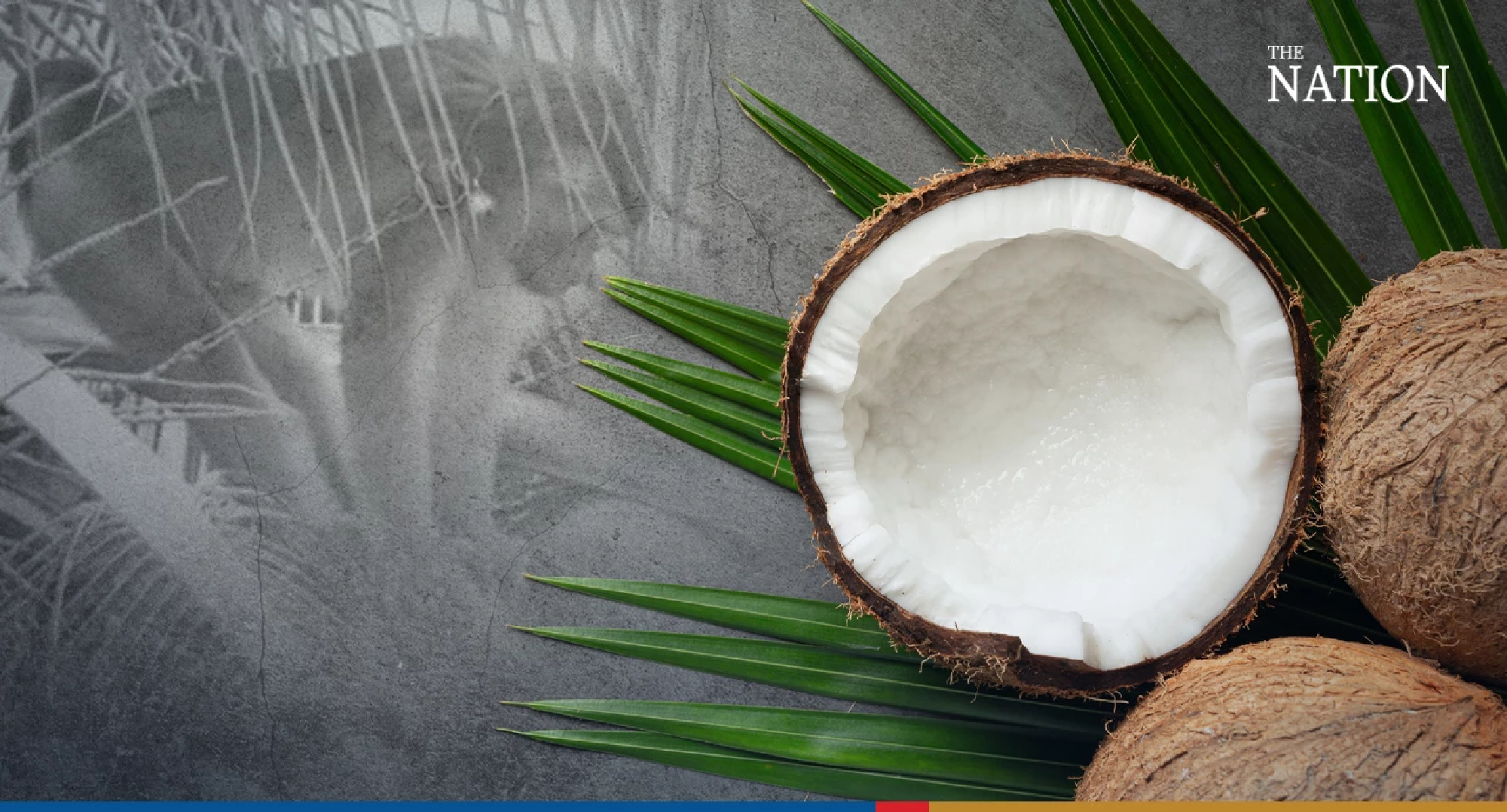 Govt told to stop monkeying around as coconut-boycott campaign stings