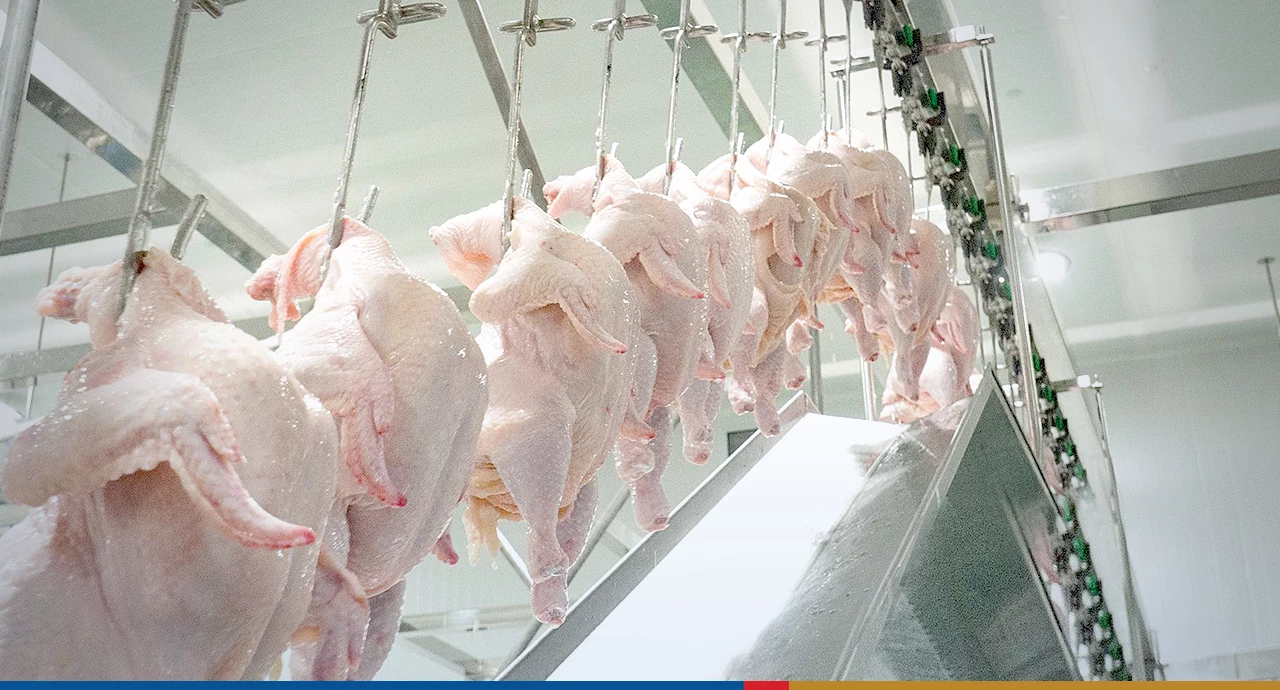Exports Of Thai Livestock Products To Malaysia Are Expected To Rise Exports Of Thai Livestock Products To Malaysia Are Expected To Rise