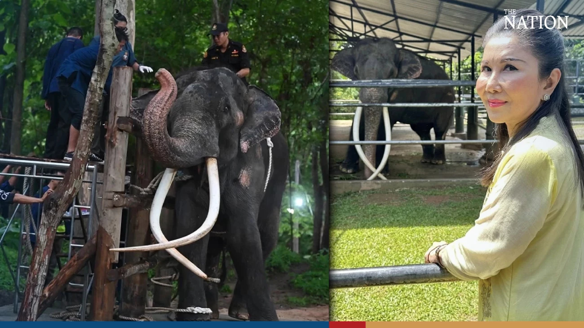 Plai Sak Surin will need lifelong treatment in Thailand, says Kanchana